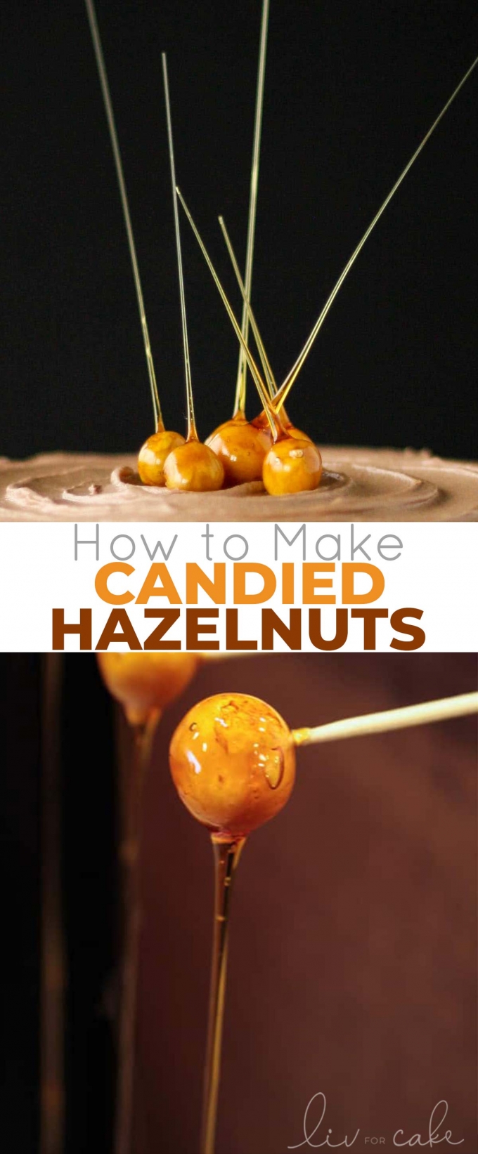 How to Make Candied Hazelnuts - Liv for Cake