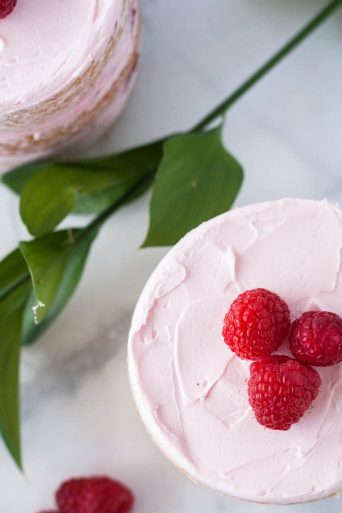 Raspberry Vanilla Mini Cakes - Liv for Cake