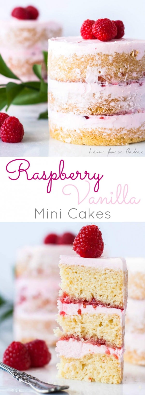 Raspberry Vanilla Mini Cakes - Liv for Cake