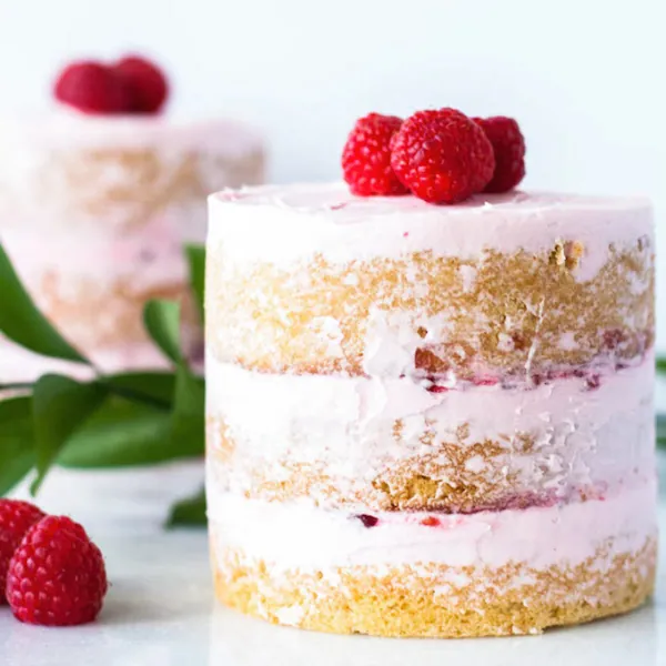 Raspberry Vanilla Mini Cakes - Liv for Cake