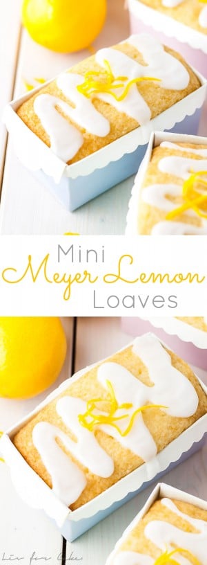 Mini Meyer Lemon Loaves - Liv for Cake